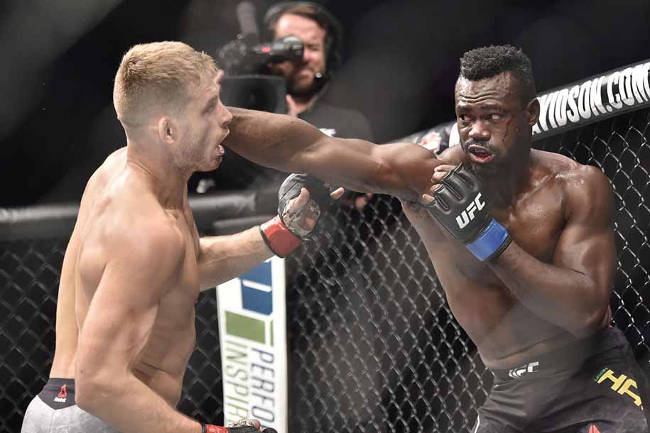 Huyền thoại 'Nhện' Silva trở lại đối đầu sát thủ Karate Uriah Hall
